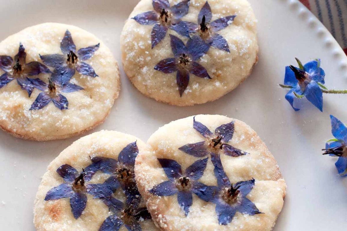 Blue Edible Flowers: Nature’s Rare Hues for the Plate - Cuciniana