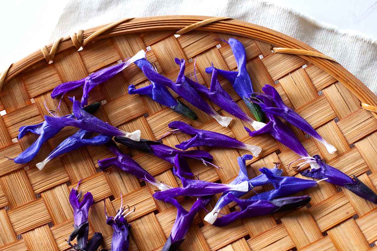 Blue Edible Flowers: Nature’s Rare Hues for the Plate - Cuciniana